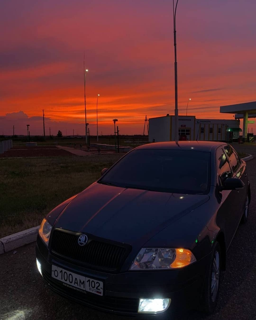 Led в птф — Skoda Octavia A5 Mk2, 1,6 л, 2008 года | стайлинг | DRIVE2