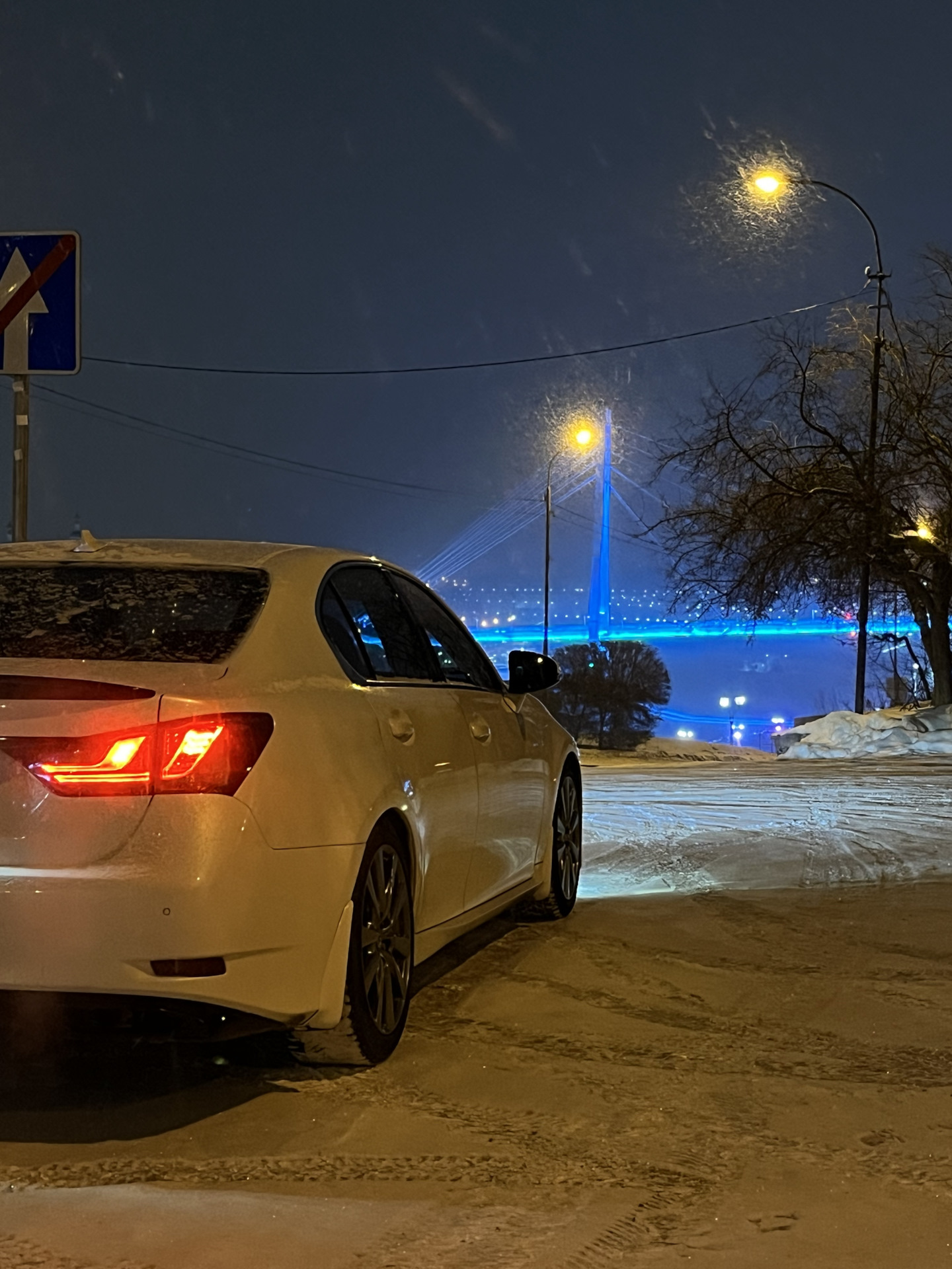 #17 — Распорка BLITZ — Lexus GS (L10), 3,5 л, 2014 года | тюнинг | DRIVE2