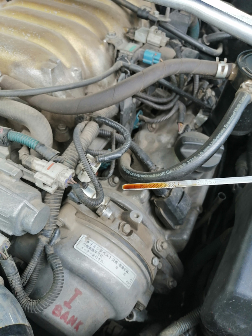 Импортозамещение-масло часть 2: — Lexus LS (UCF20), 4 л, 1998 года ...