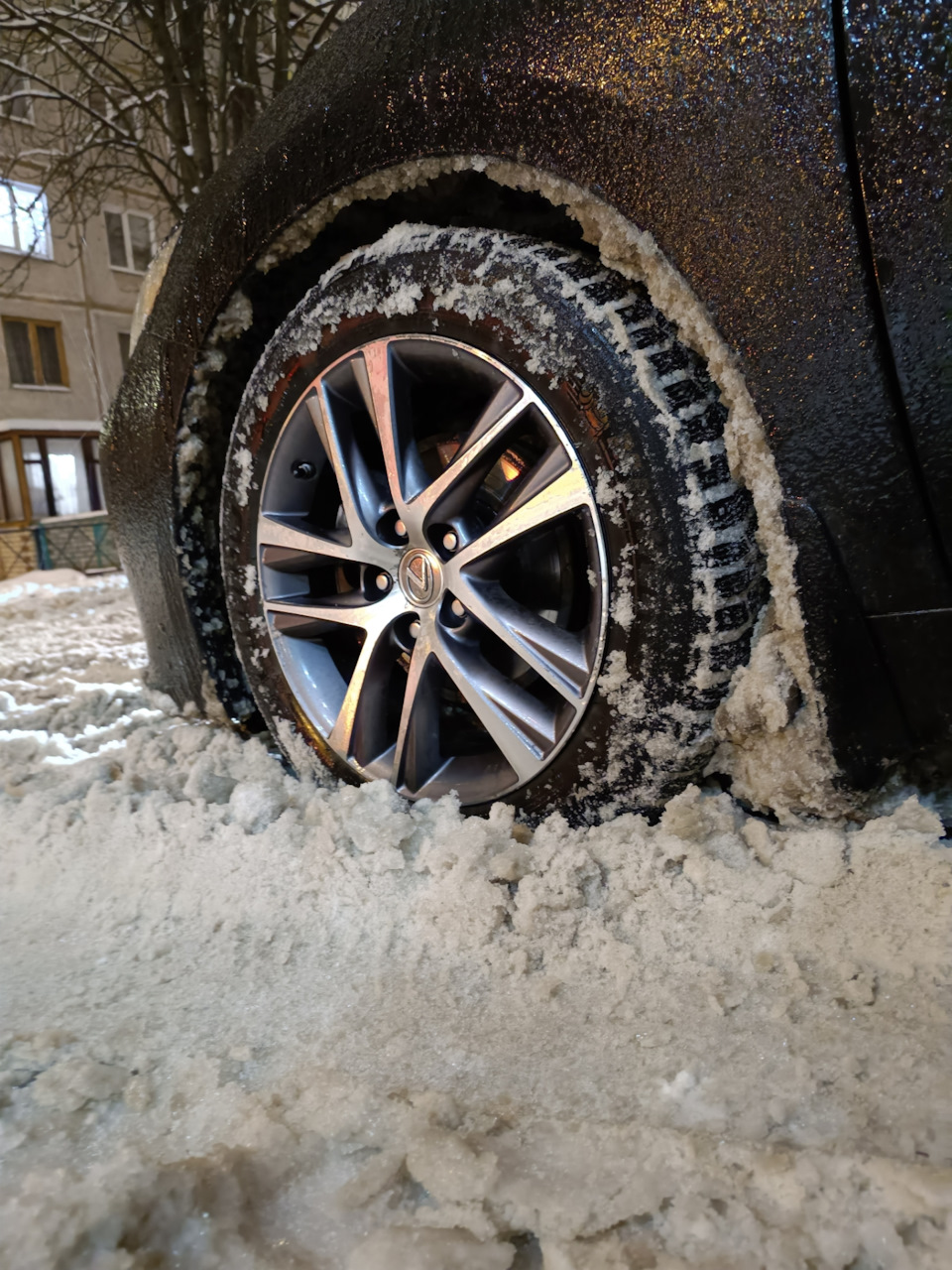 Зима на Michelin … — Lexus ES 300h, 2,5 л, 2012 года | шины | DRIVE2