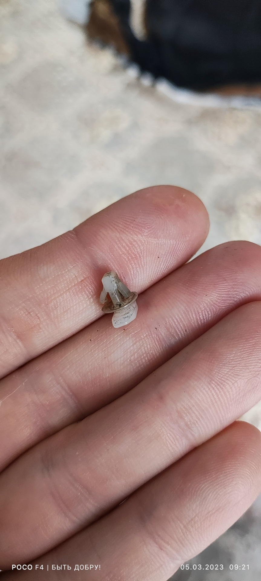 Клипса уплотнителя двери маленькая. — Chevrolet Lacetti Sedan, 1,6 л ...