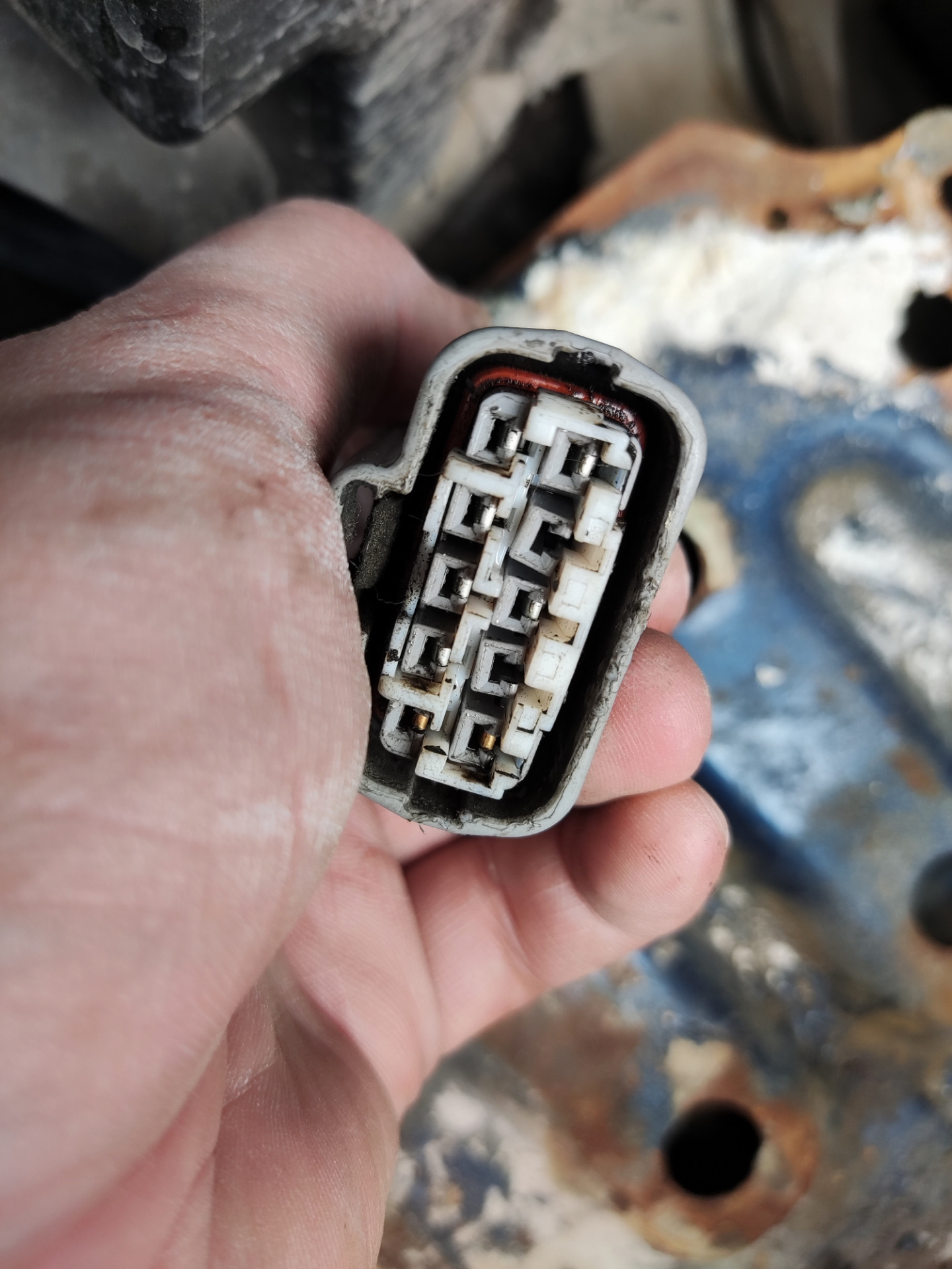 p2770 — Scion xA, 1,5 л, 2005 года | своими руками | DRIVE2