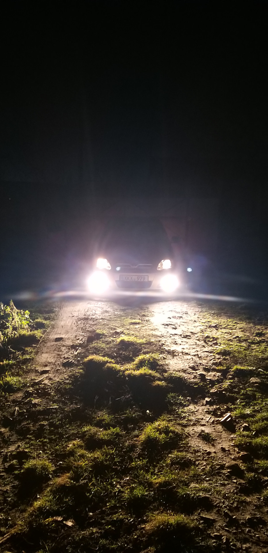 Лампочки в туманки — Toyota Corolla (120), 1,4 л, 2007 года ...