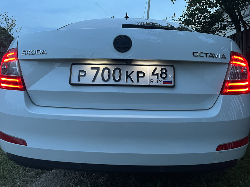 LED подсветка номерного знака — Skoda Octavia A7 Mk3, 2 л, 2017 года ...