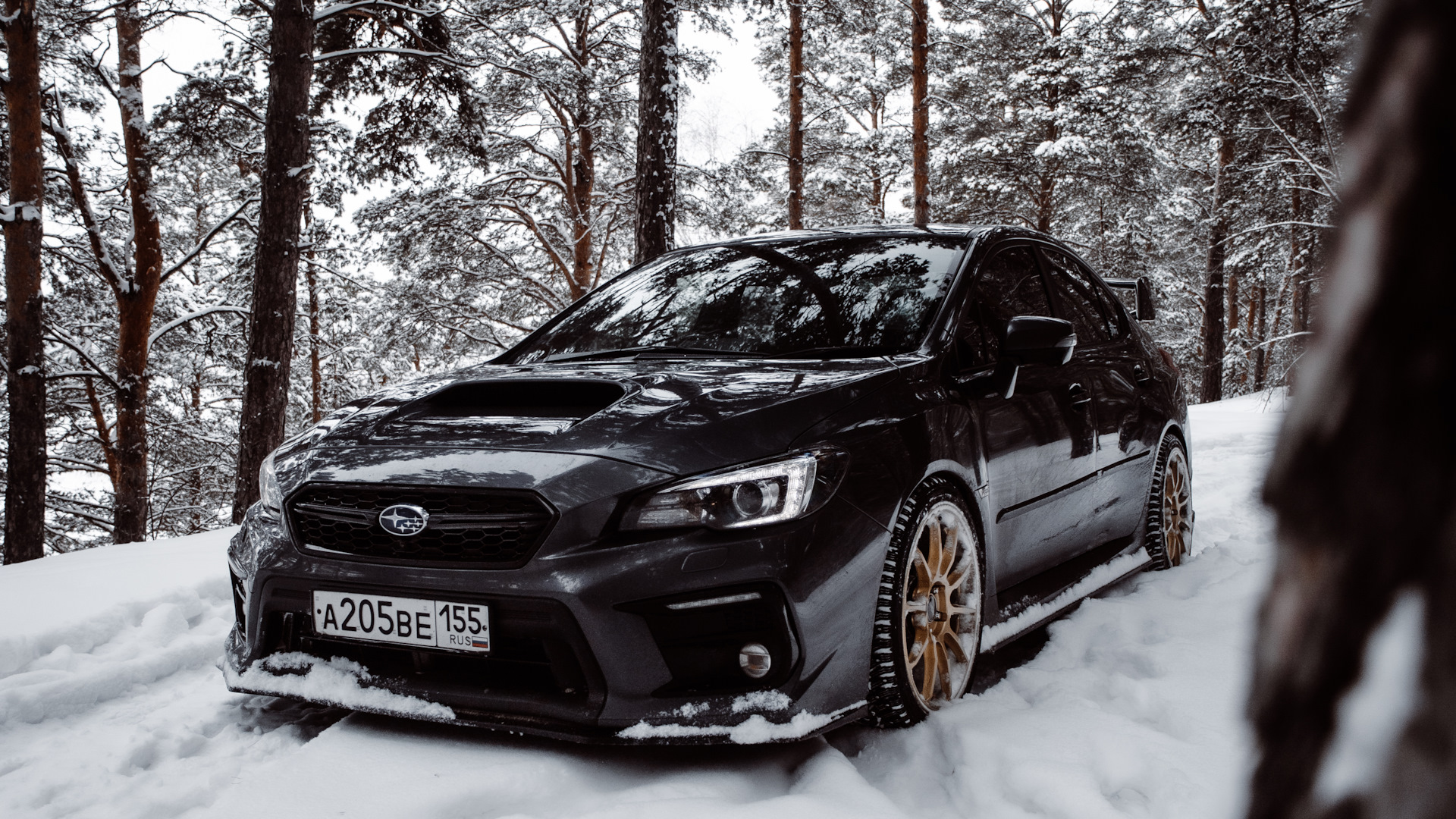 Subaru WRX (VA) 2.0 бензиновый 2019 | на DRIVE2