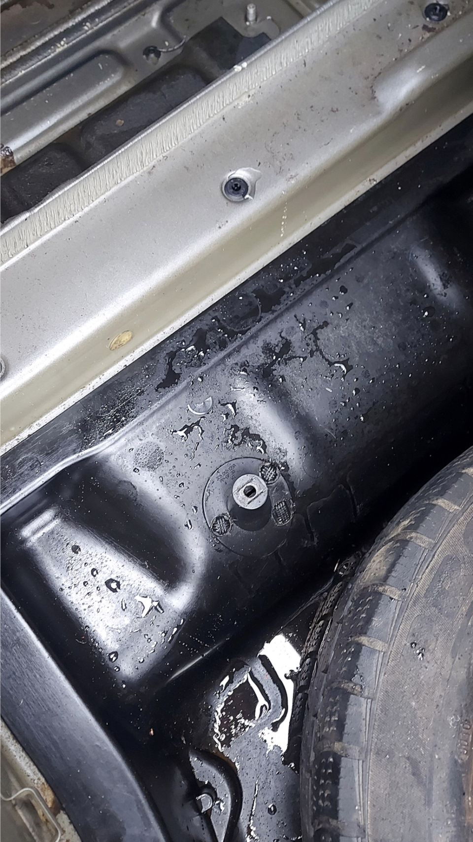 Вода в багажнике (ниша запасного колеса) Volkswagen Passat B6 (кузов ...