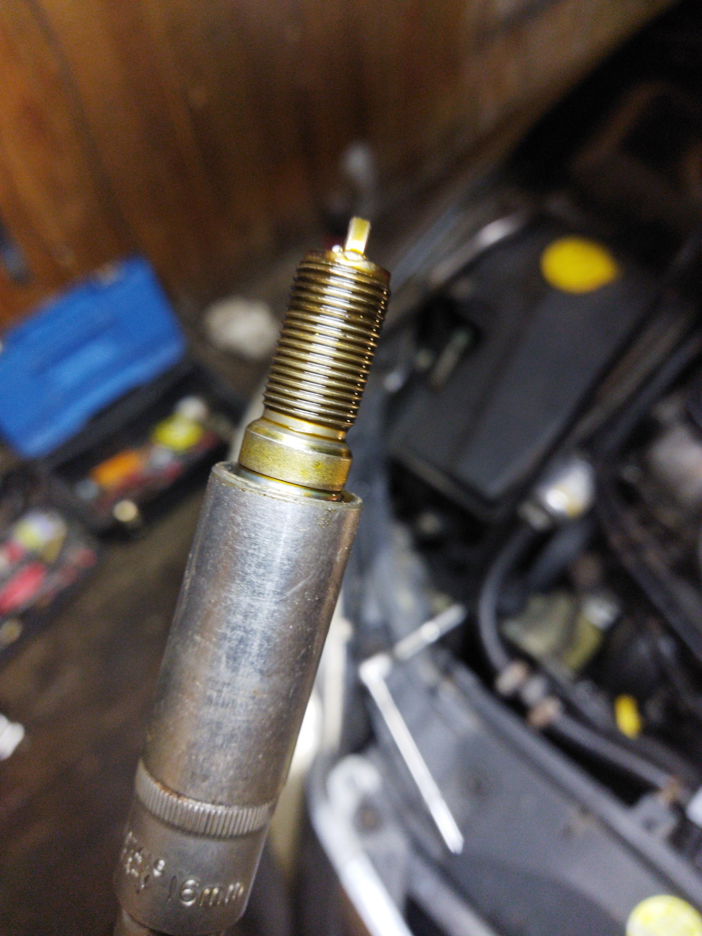 #10 замена прокладки клапанной крышки — Mazda 6 (1G) GG, 2 л, 2002 года ...