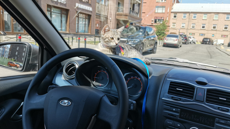 Про кресла люксовой гранты — Lada Гранта Лифтбек (2G), 1,6 л, 2021 года ...