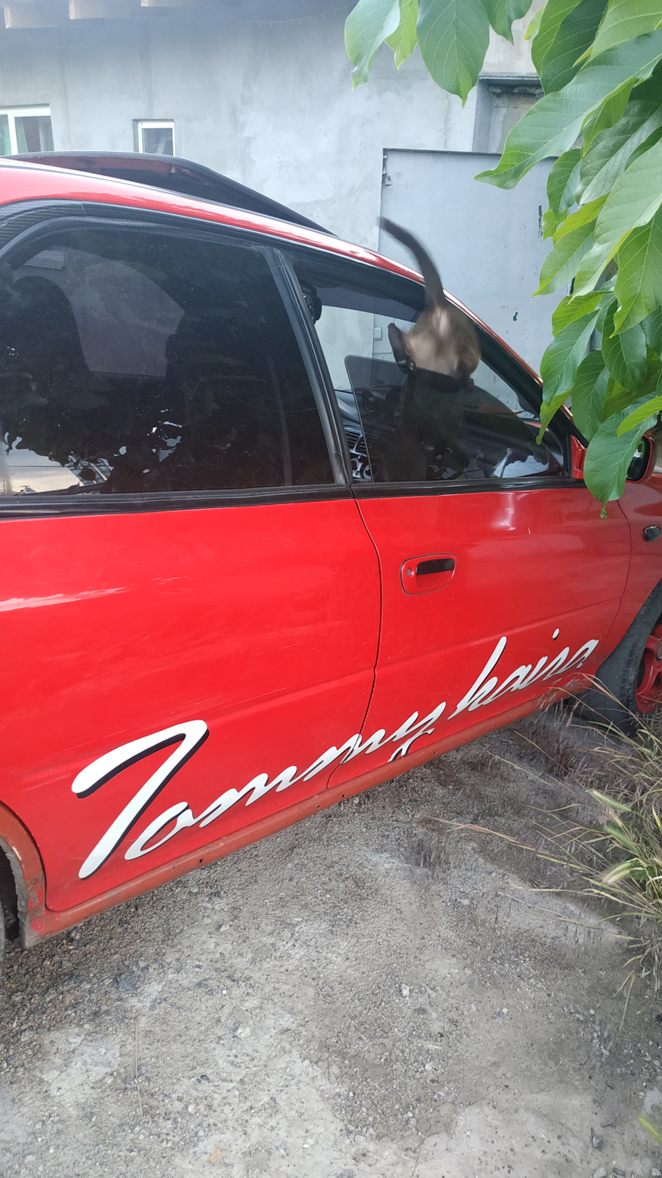 543023532R Амортизатор пер RENAULT | Запчасти на DRIVE2