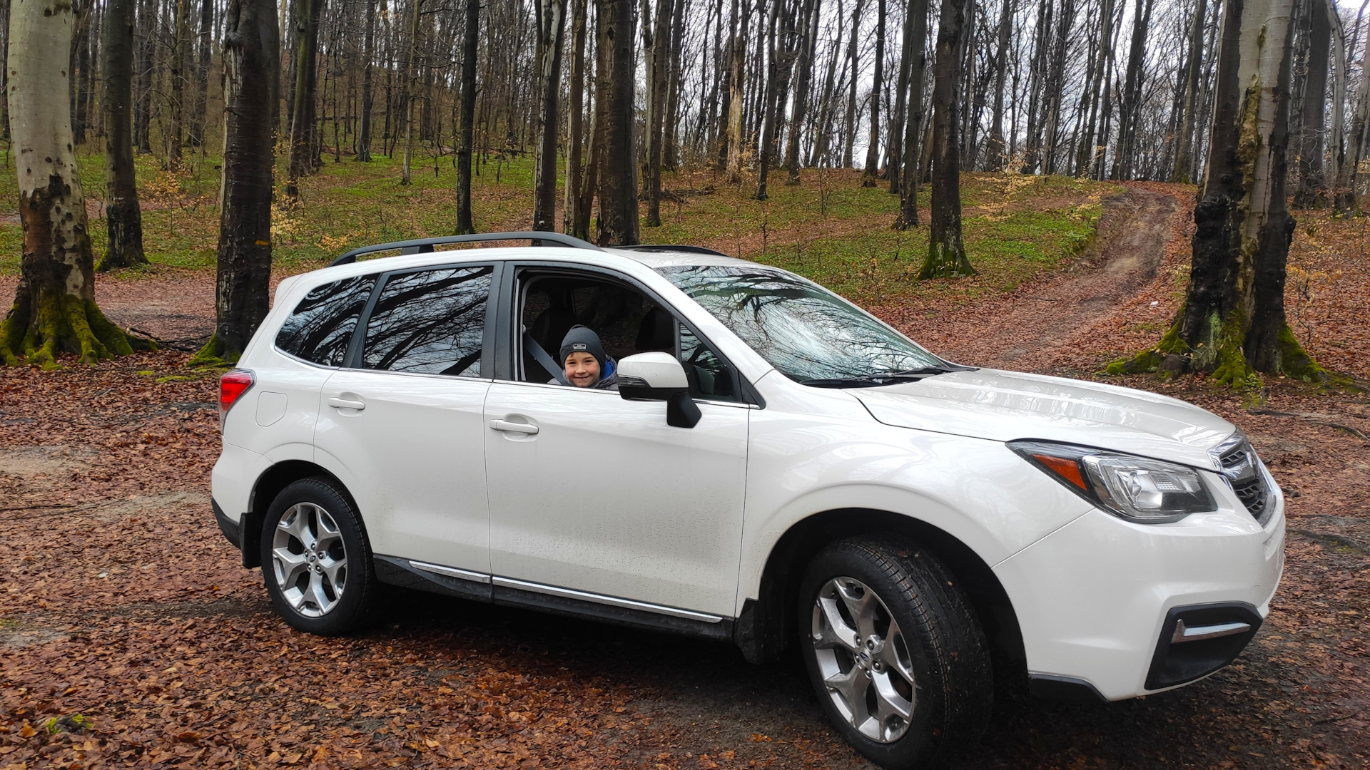 Subaru Forester (SJ) 2.5 бензиновый 2017 | Touring на DRIVE2