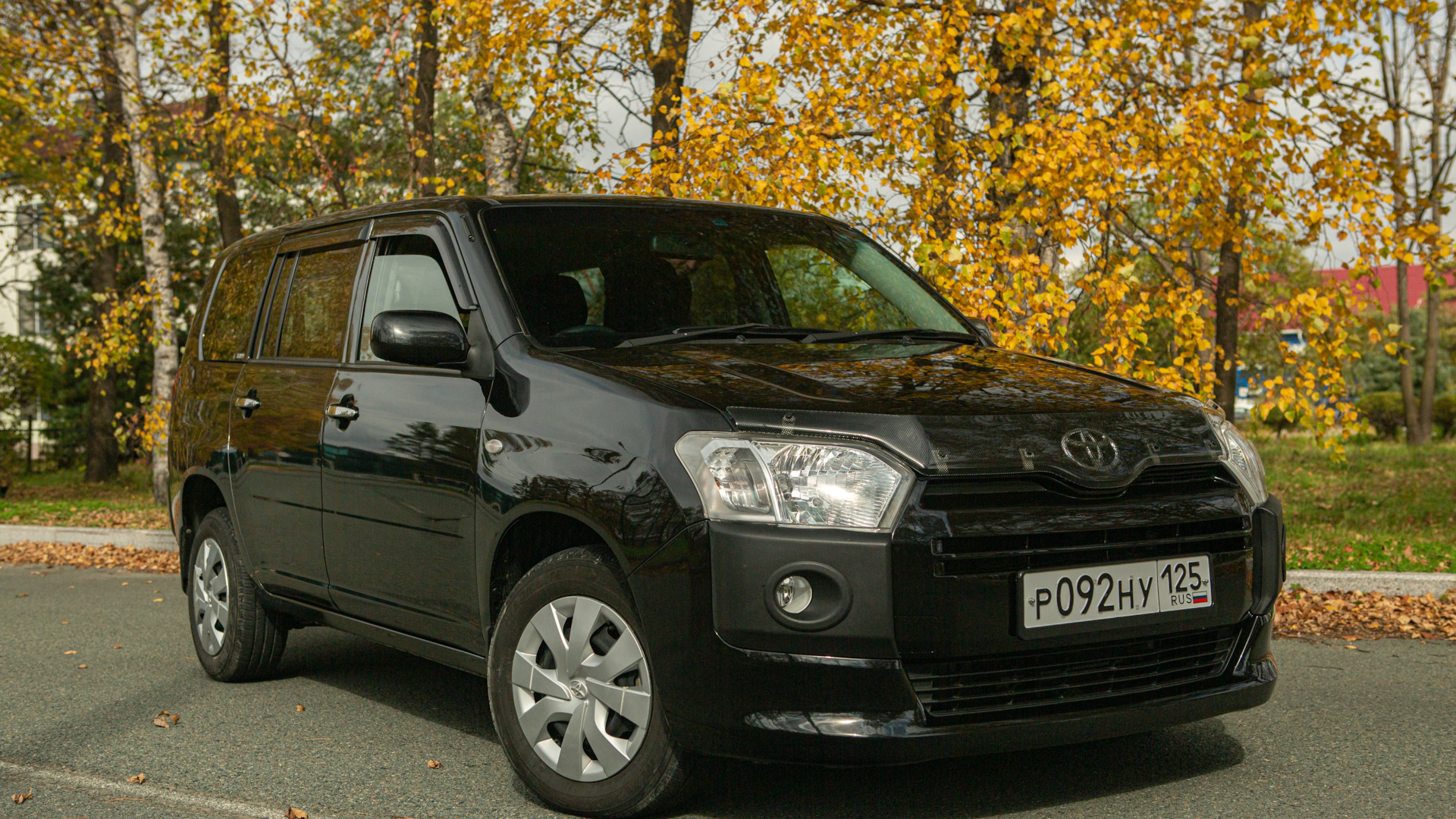 Toyota Probox 1.5 бензиновый 2016 | на DRIVE2