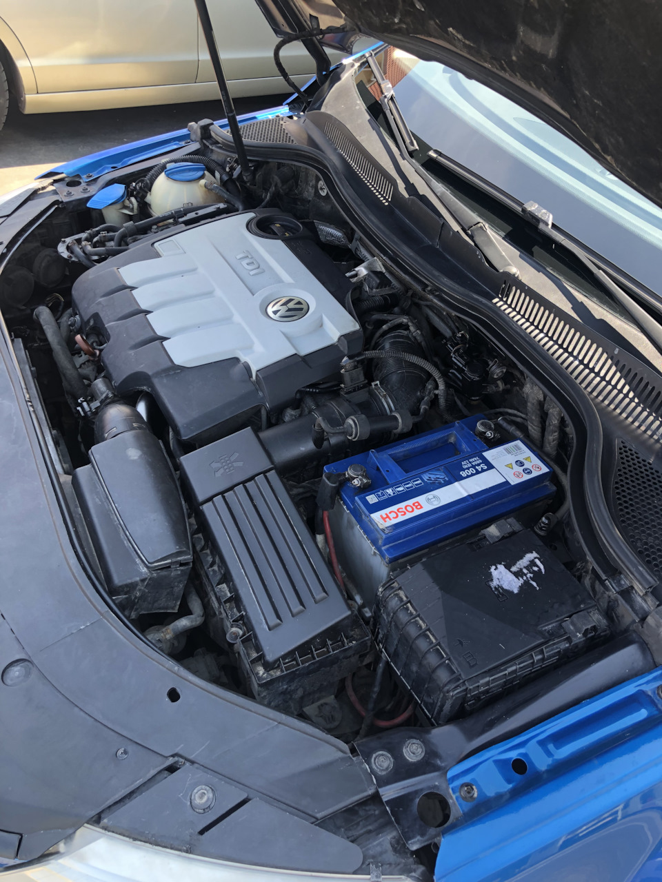 Колпачки свечей накаливания. Ковальски, варианты? — Volkswagen Passat ...