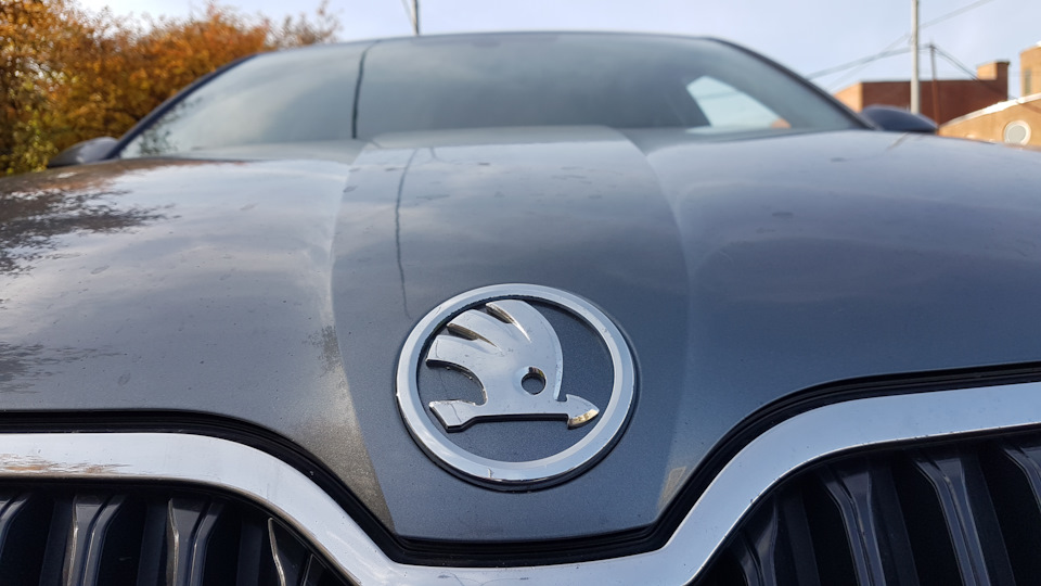 Platinum emblems — Skoda Octavia A7 Mk3, 1,4 л, 2014 года | стайлинг ...