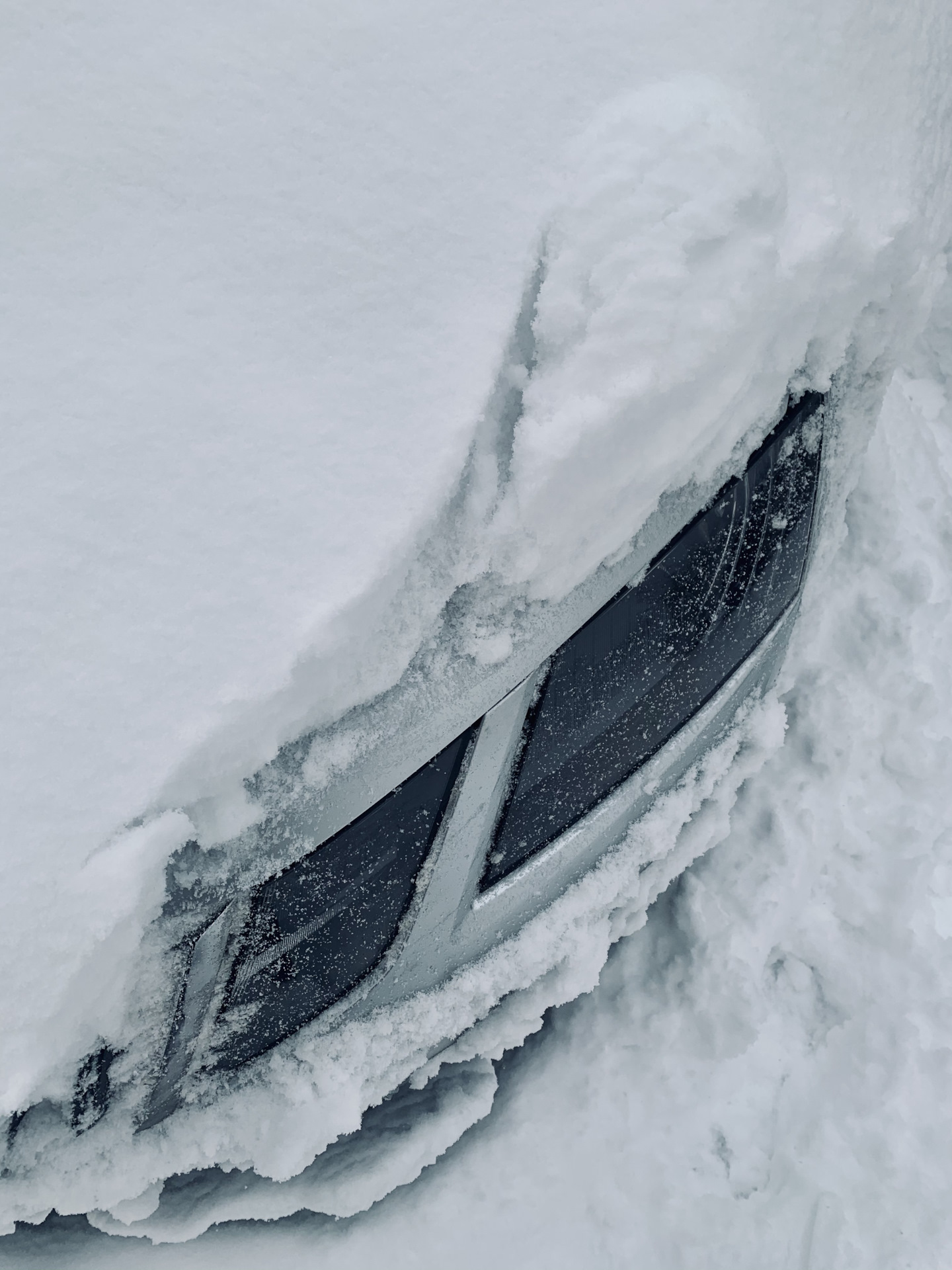 8.Не завёлся в -19 замерзло дизтопливо — Skoda Octavia Combi A7 Mk3, 1 ...