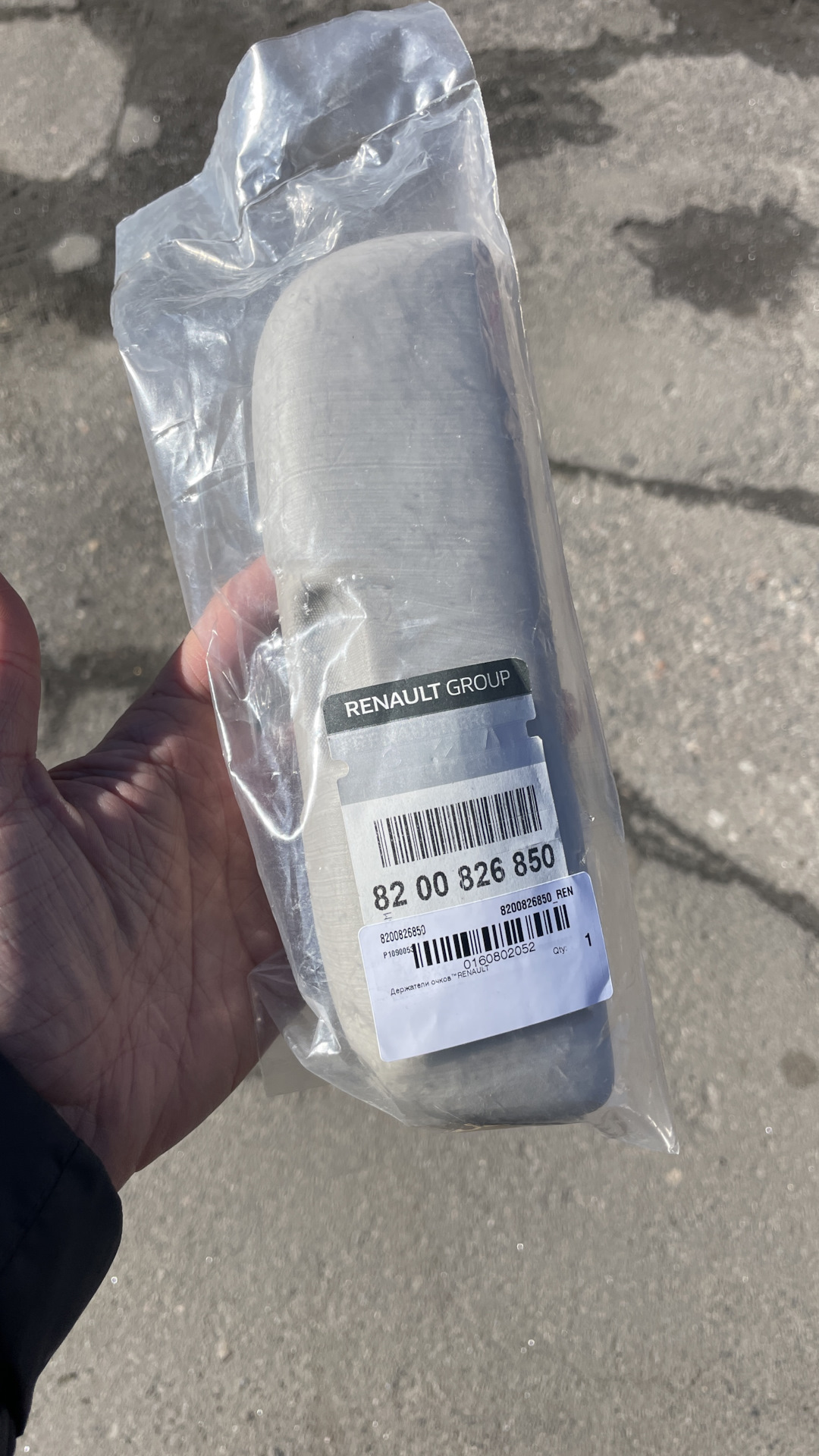 Очечник — Renault Grand Scenic II, 1,9 л, 2006 года | аксессуары | DRIVE2