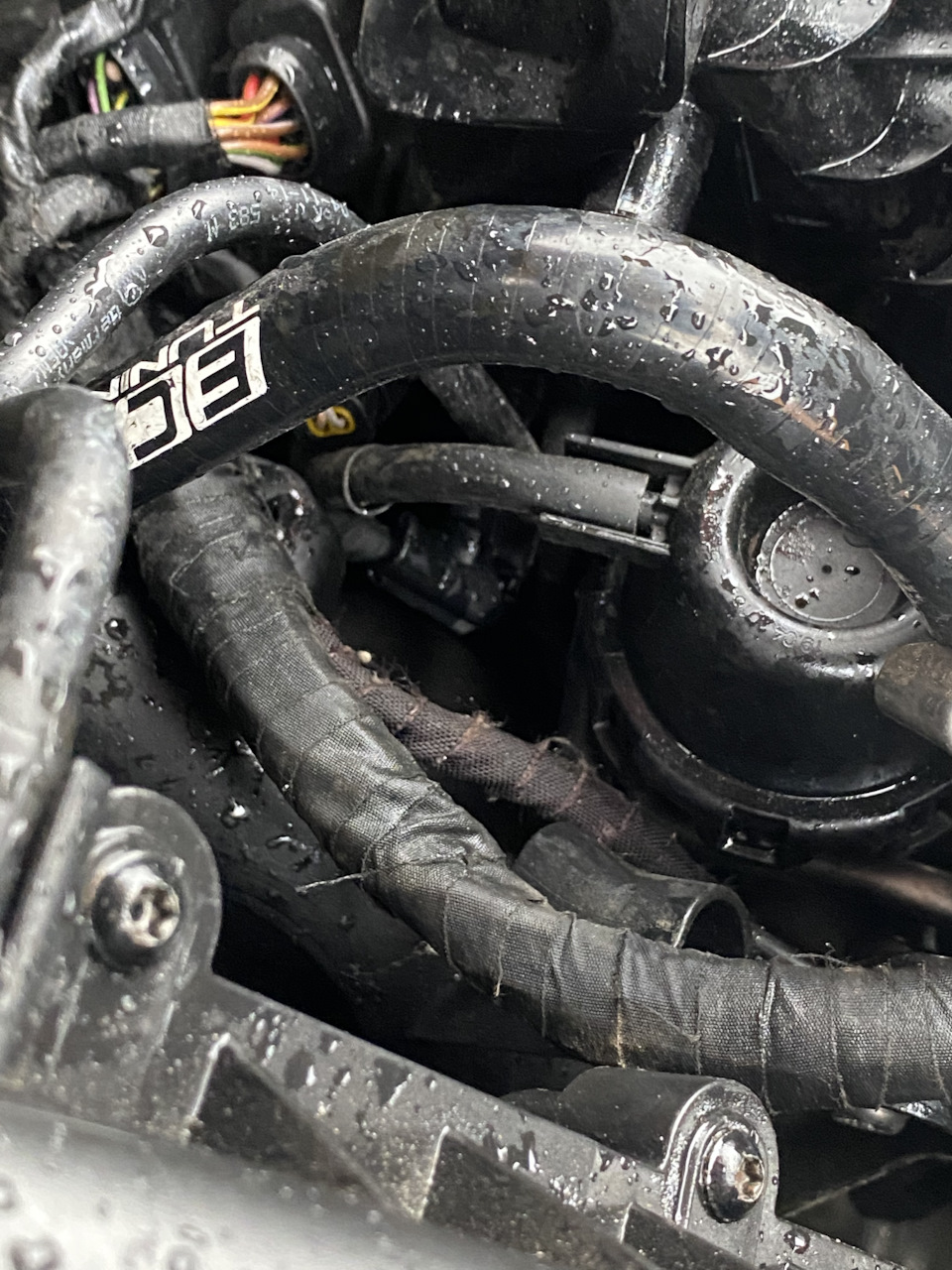 Софт 2.0 stage 3, спорт-кат Wagner и еще немного боли — Skoda Octavia ...