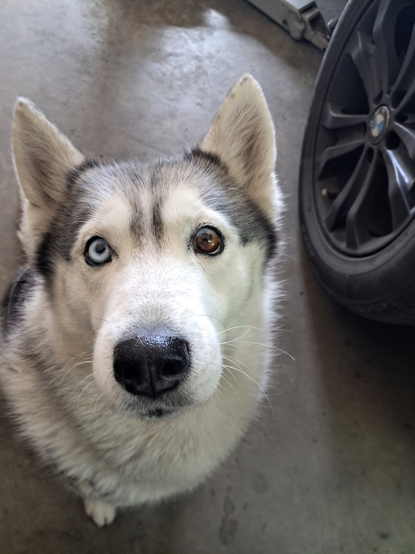 4×4 — BMW X5 (E70), 3 л, 2009 года | поломка | DRIVE2