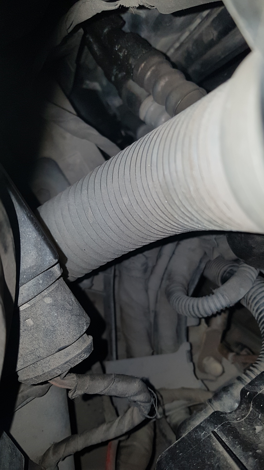 53. Уплотнительные кольца радиатора АКПП — Volkswagen Tiguan (1G), 2 л ...