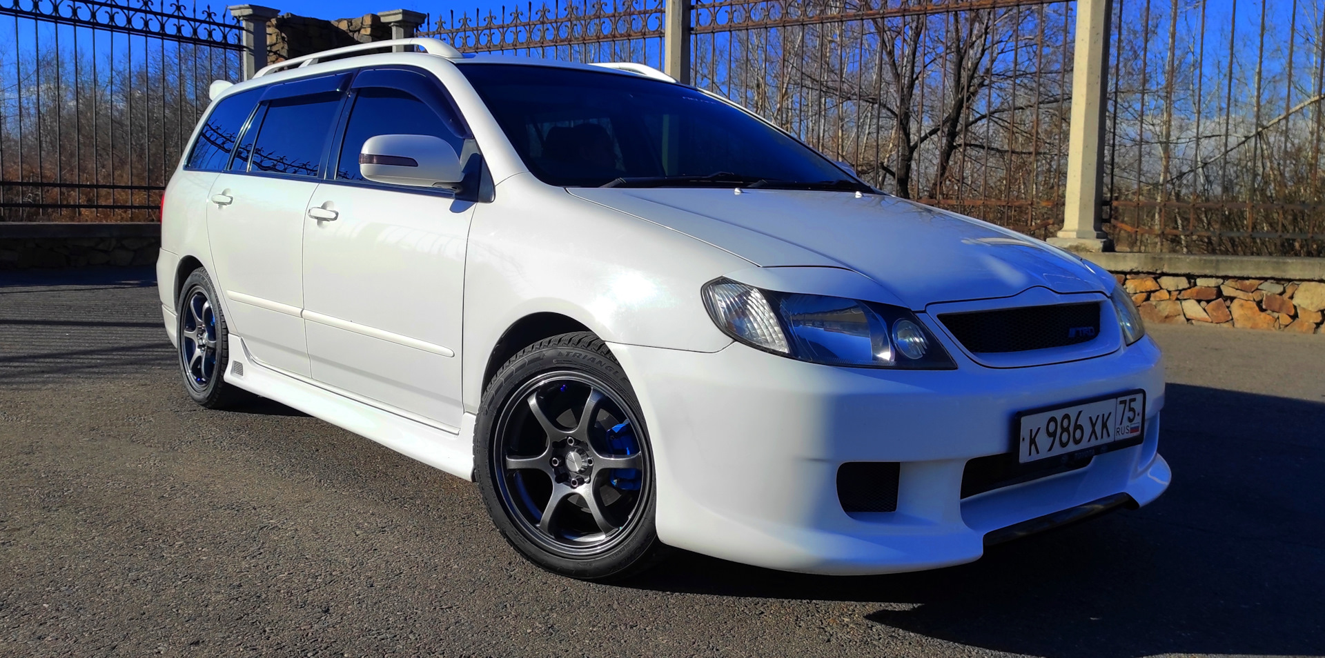Advan racing RGII — Toyota Corolla Fielder (E120), 1,5 л, 2002 года ...