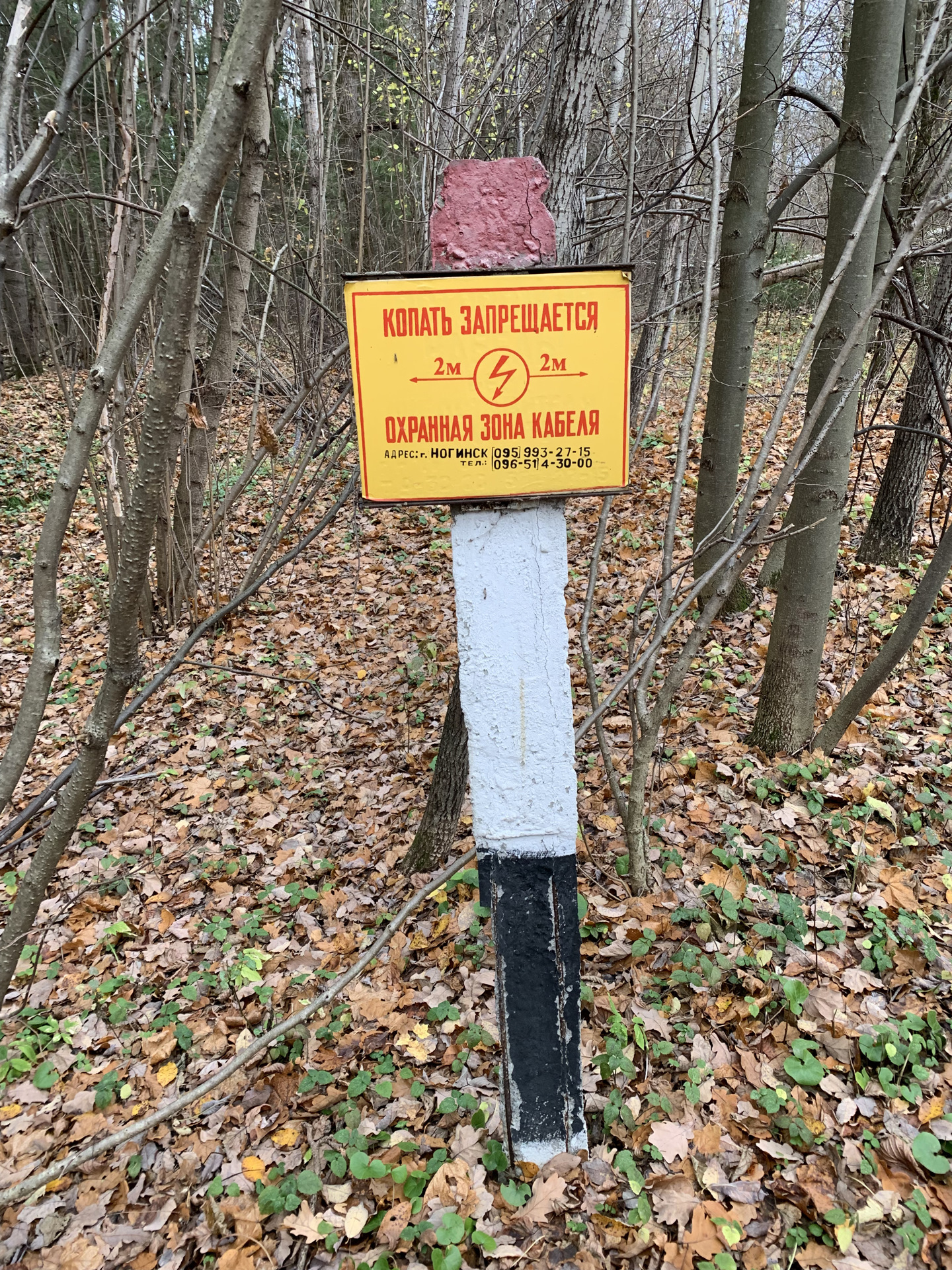 Установка круиз контроля camry v70 (фотоотчет) — Toyota Camry (XV70), 2 ...