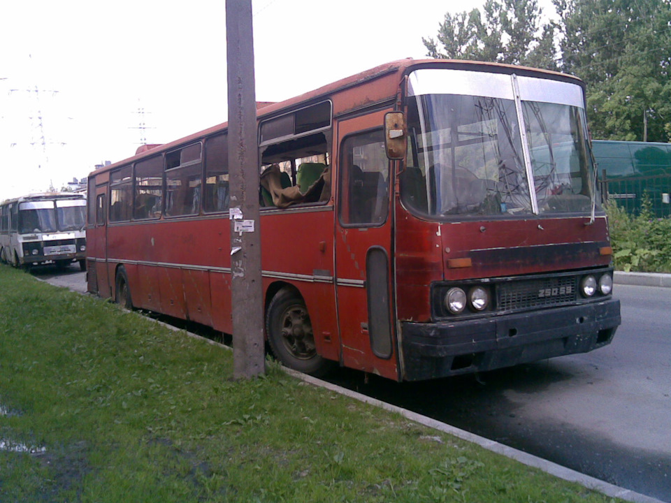 Икарус 250-59 Шильды. — Икарус 250-59, 9,9 л, 1990 года | наблюдение | DRIVE2