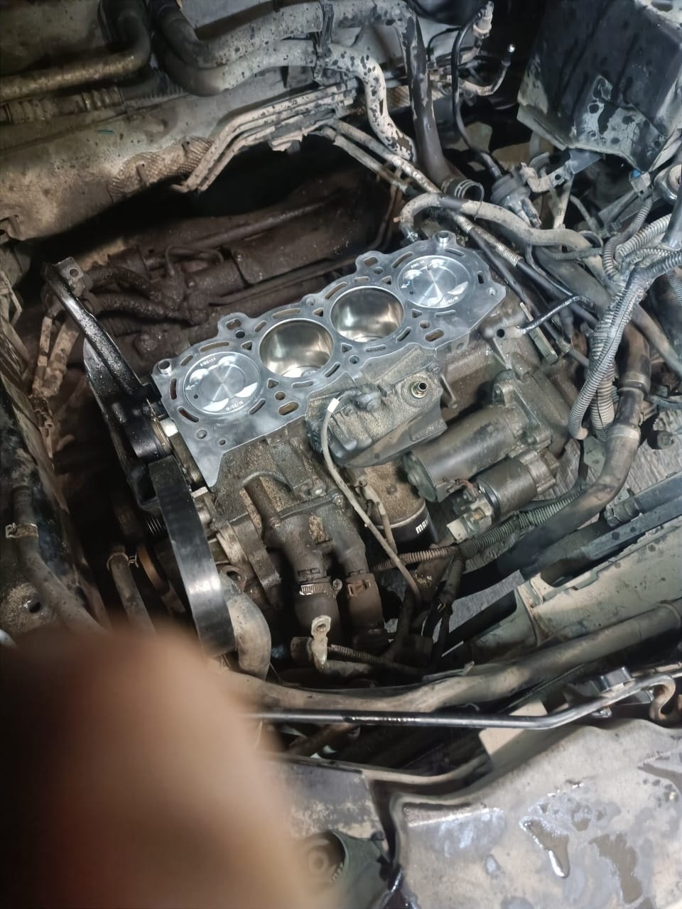 Стук — давай до свидания — Ford Focus Sedan II, 1,6 л, 2005 года ...