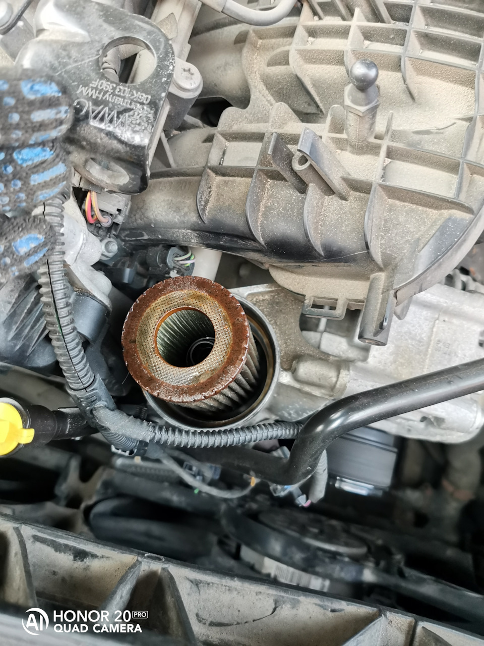 Все ставят, а я чем хуже?🤣 — Audi Q5 (1G), 2 л, 2013 года | плановое ТО ...