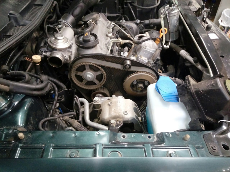 Наклейки D2 — Nissan Almera II (N16), 1,5 л, 2004 года | другое | DRIVE2