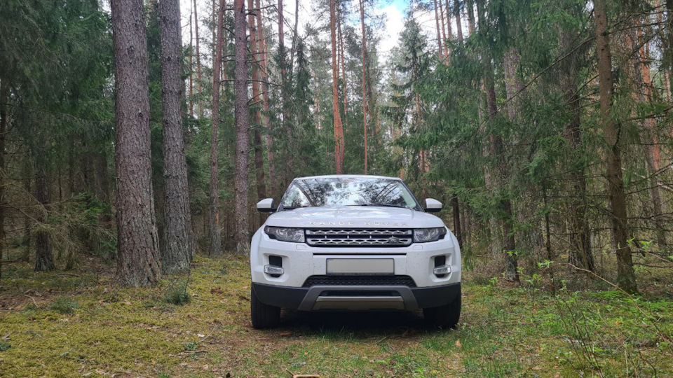 Land Rover Range Rover Evoque (1G) 2.2 дизельный 2015 | 2.2 TD4 на DRIVE2