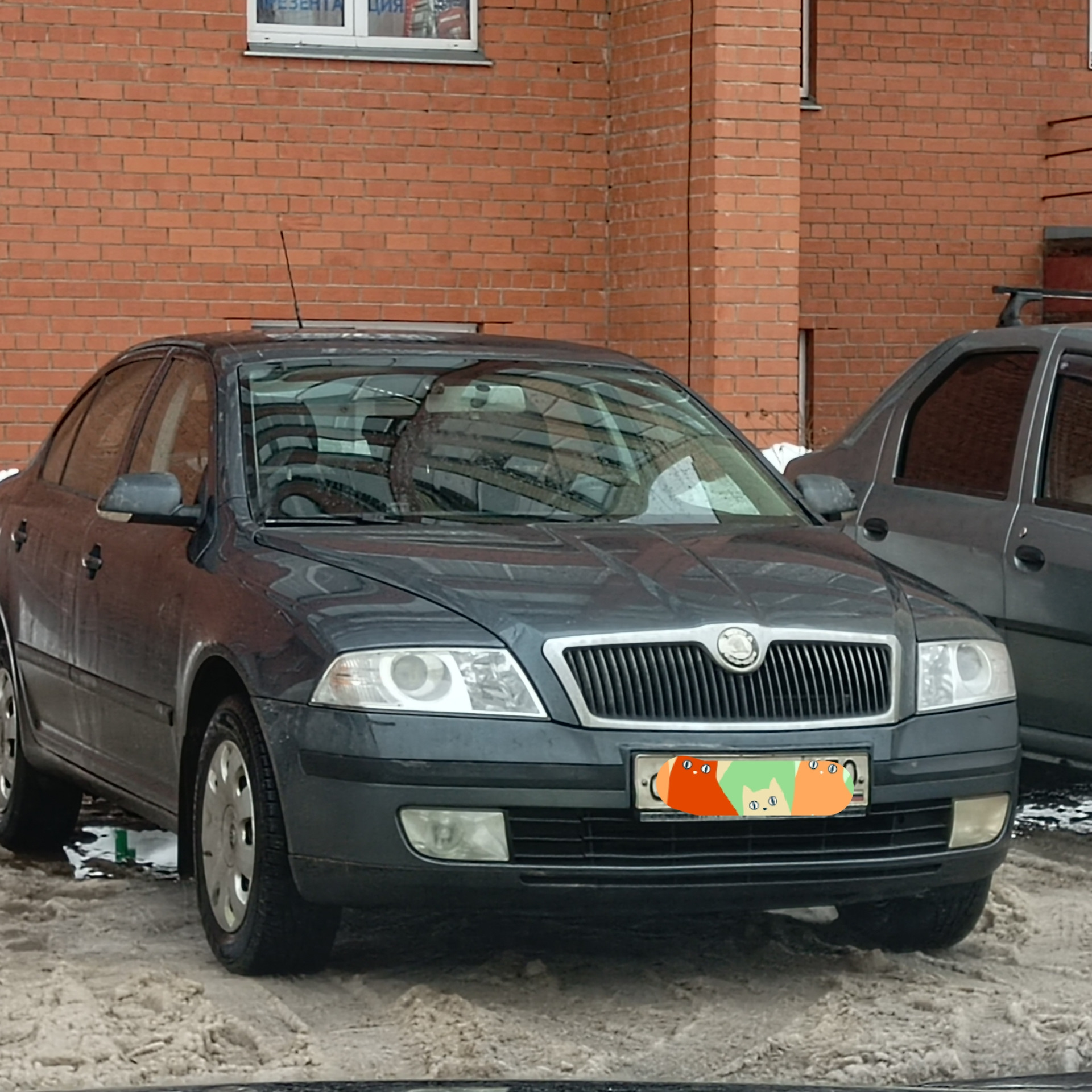 Установка Criline D4 Night Ranger — Skoda Octavia A5 Mk2, 1,6 л, 2006 ...