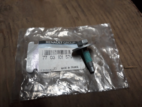 7703101579 Болт м6 с шайбой в сборе RENAULT | Запчасти на DRIVE2