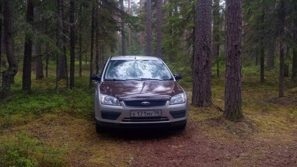 Сайлент блоки — Ford Focus Sedan II, 1,6 л, 2005 года | плановое ТО ...