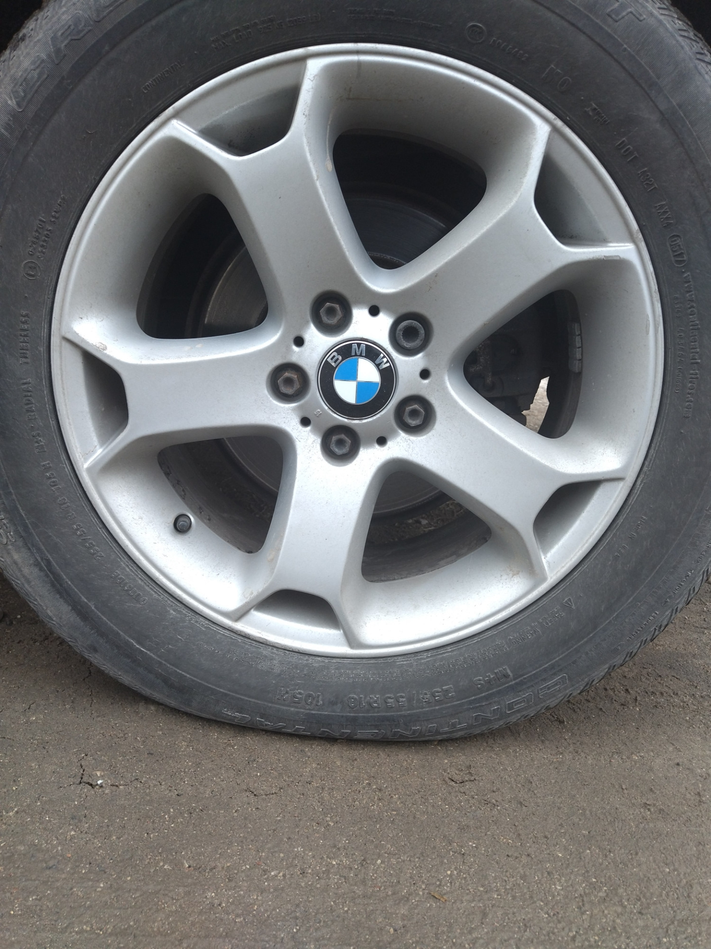 Плюшки для Х5 — BMW X5 (E53), 3 л, 2006 года | аксессуары | DRIVE2