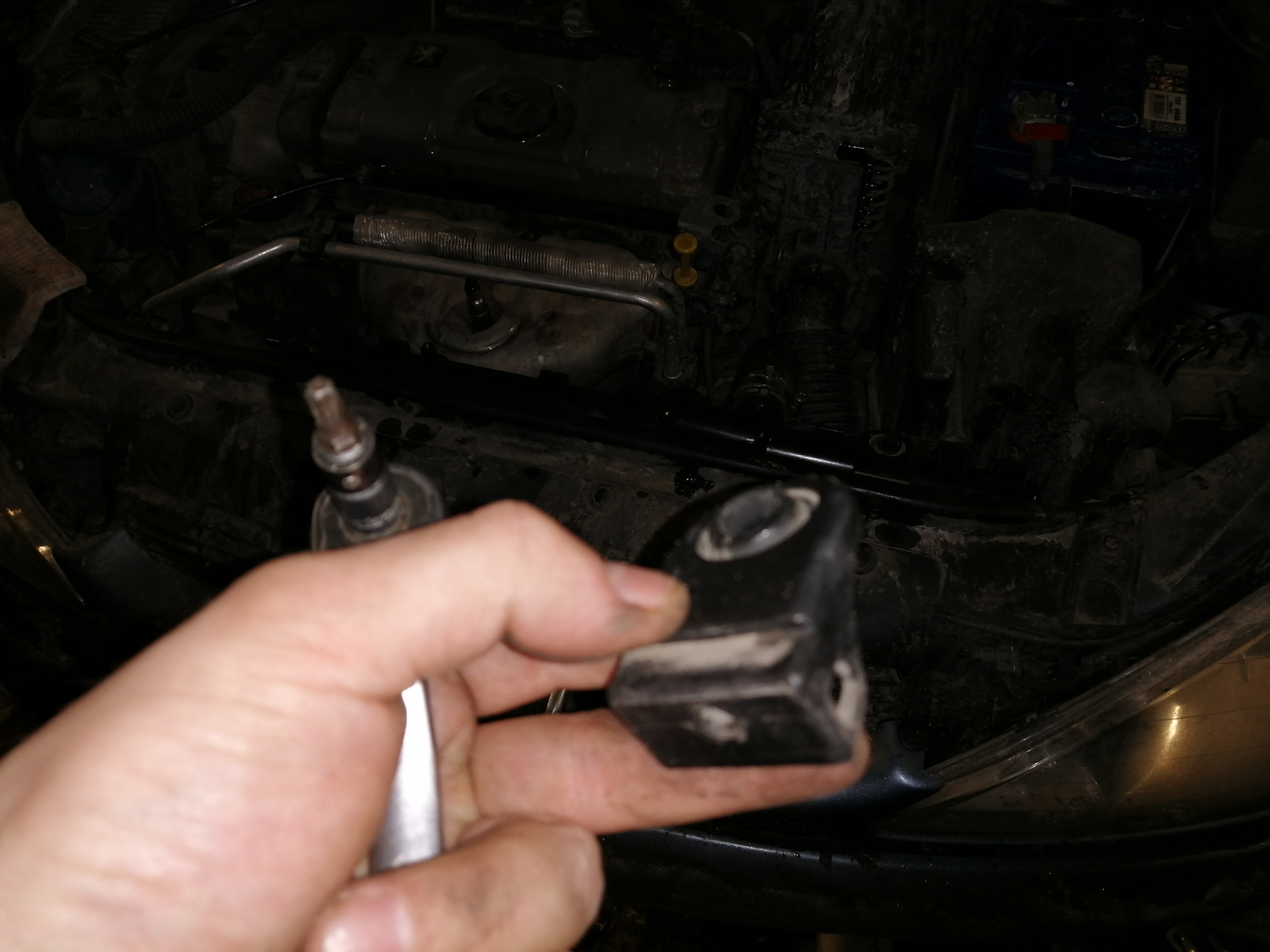Замена радиатора Zekkert — Peugeot 206, 1,4 л, 2007 года | своими ...