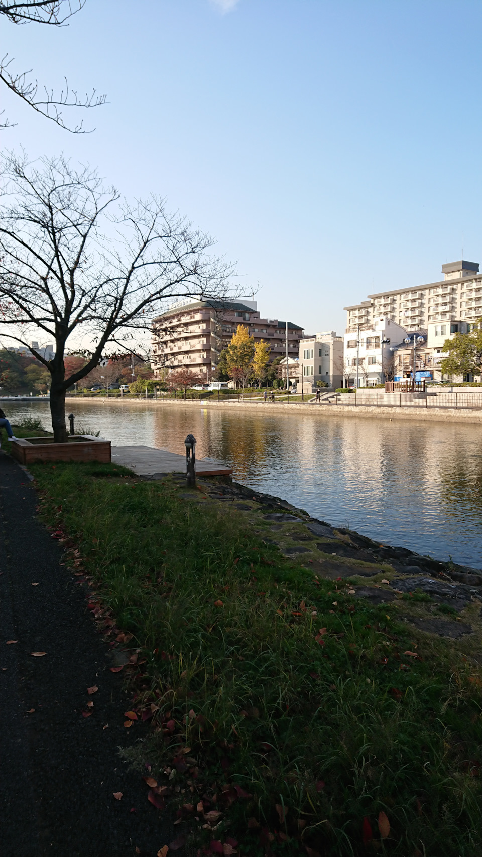 Check VSC System Highlander 2008 — Toyota Highlander (XU40), 3,5 л ...