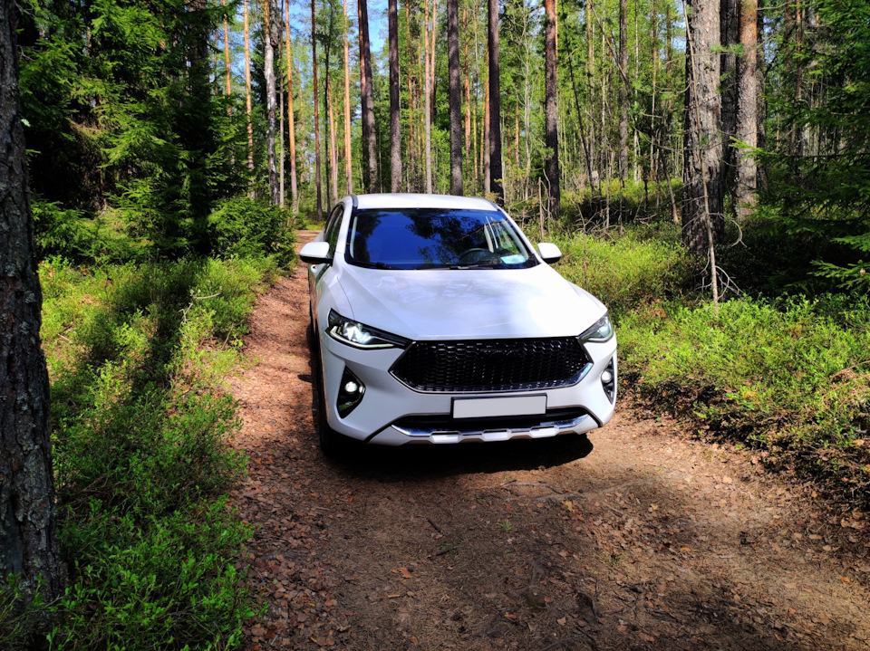 Открыли шашлычный сезон — Haval F7x, 1,5 л, 2021 года | путешествие | DRIVE2