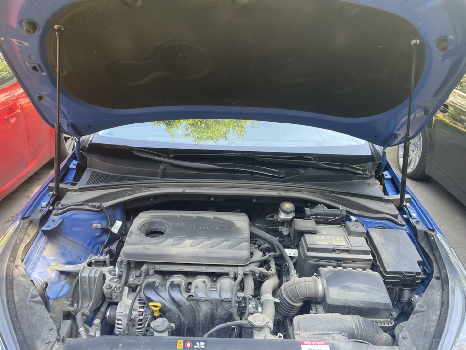 Амортизаторы капота оригинал Kia — KIA Ceed (3G), 1,6 л, 2020 года ...