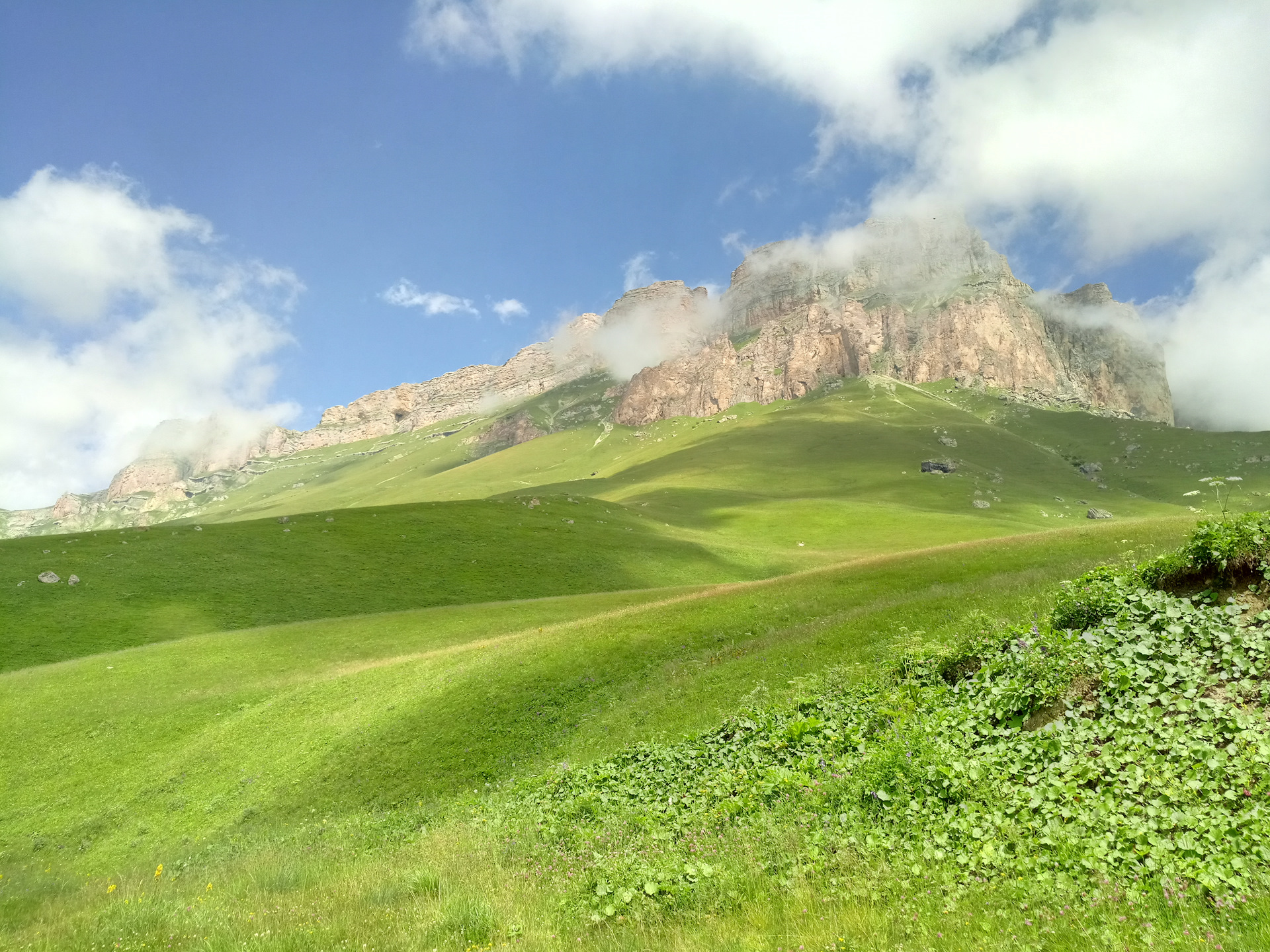 Диски Work Meister на лето! — Honda Accord (7G), 2,4 л, 2005 года | колёсные диски | DRIVE2