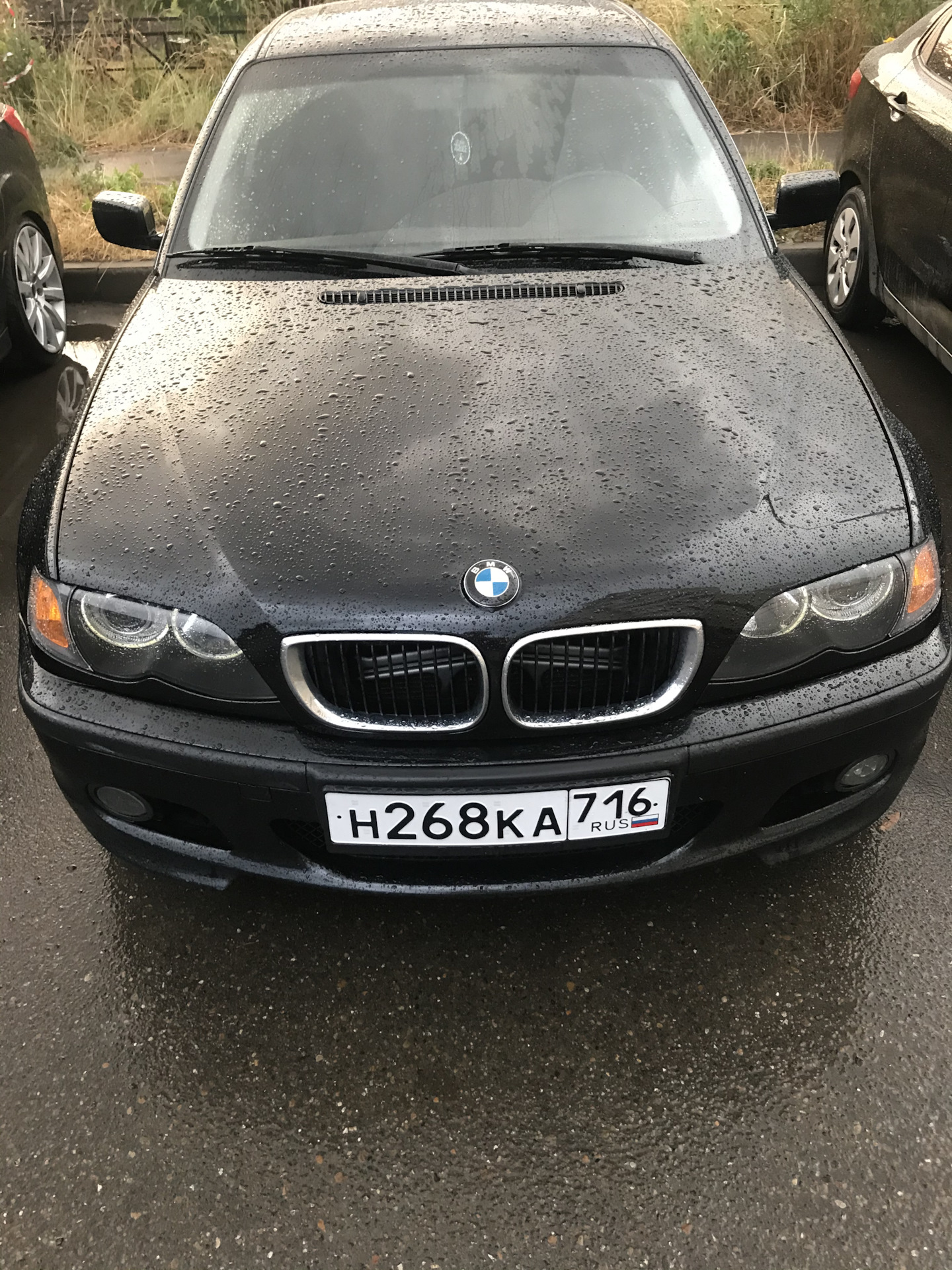 Оформлена — Bmw 3 Series E46 22 л 2002 года покупка машины Drive2