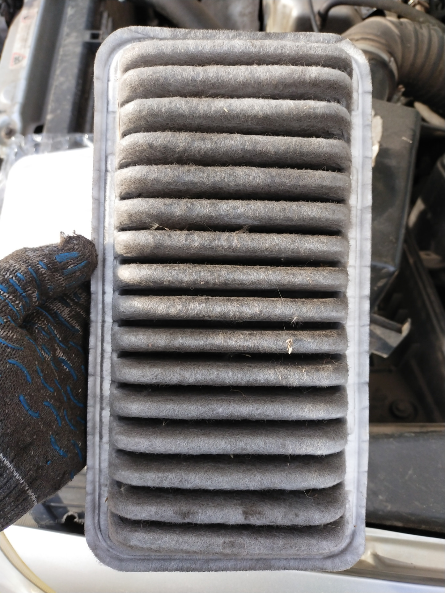 Первая замена масла, фильтров после покупки — BYD F3, 1,6 л, 2008 года ...