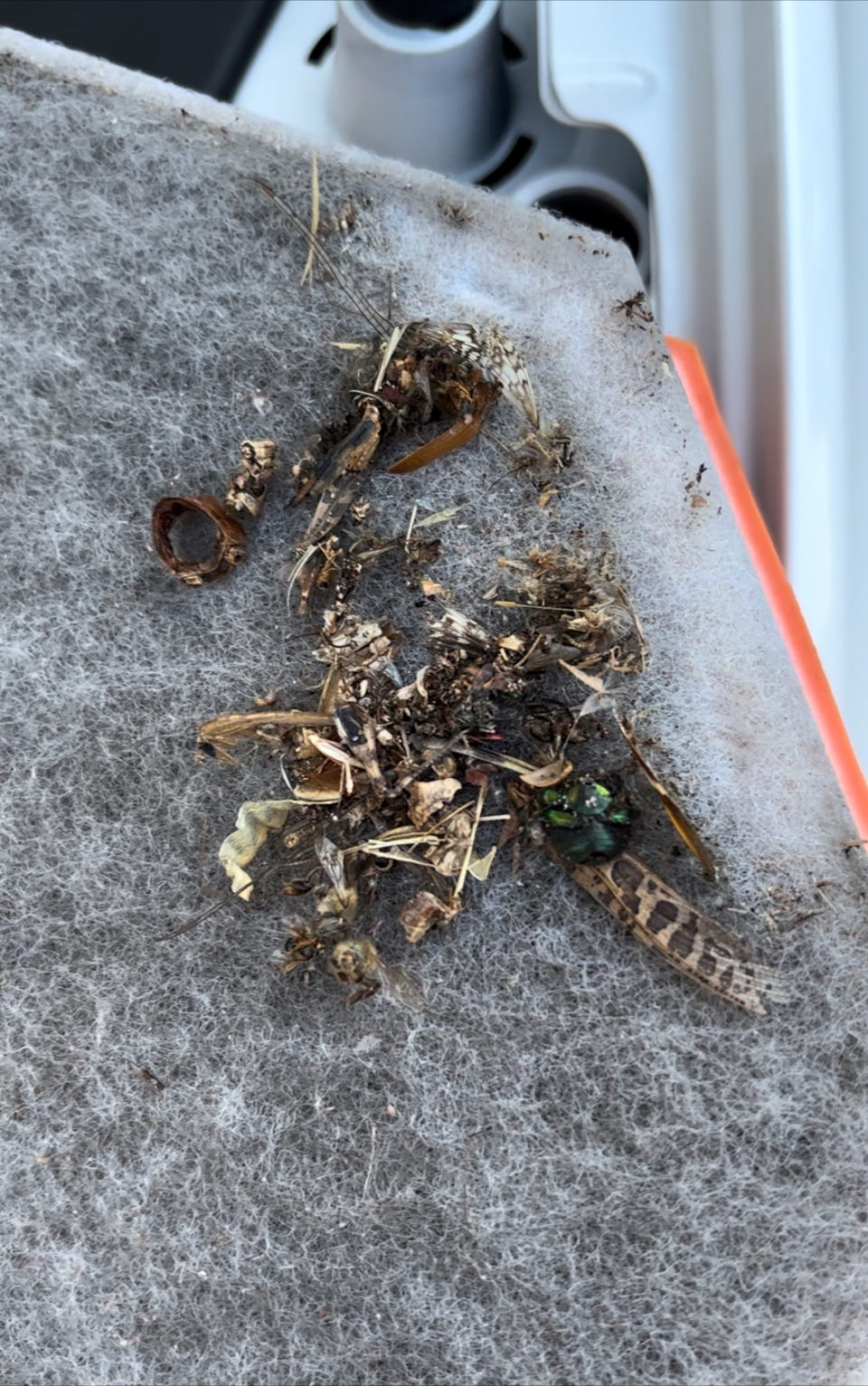 ТО 50000 миль — Volvo XC60 (2G), 2 л, 2022 года | плановое ТО | DRIVE2