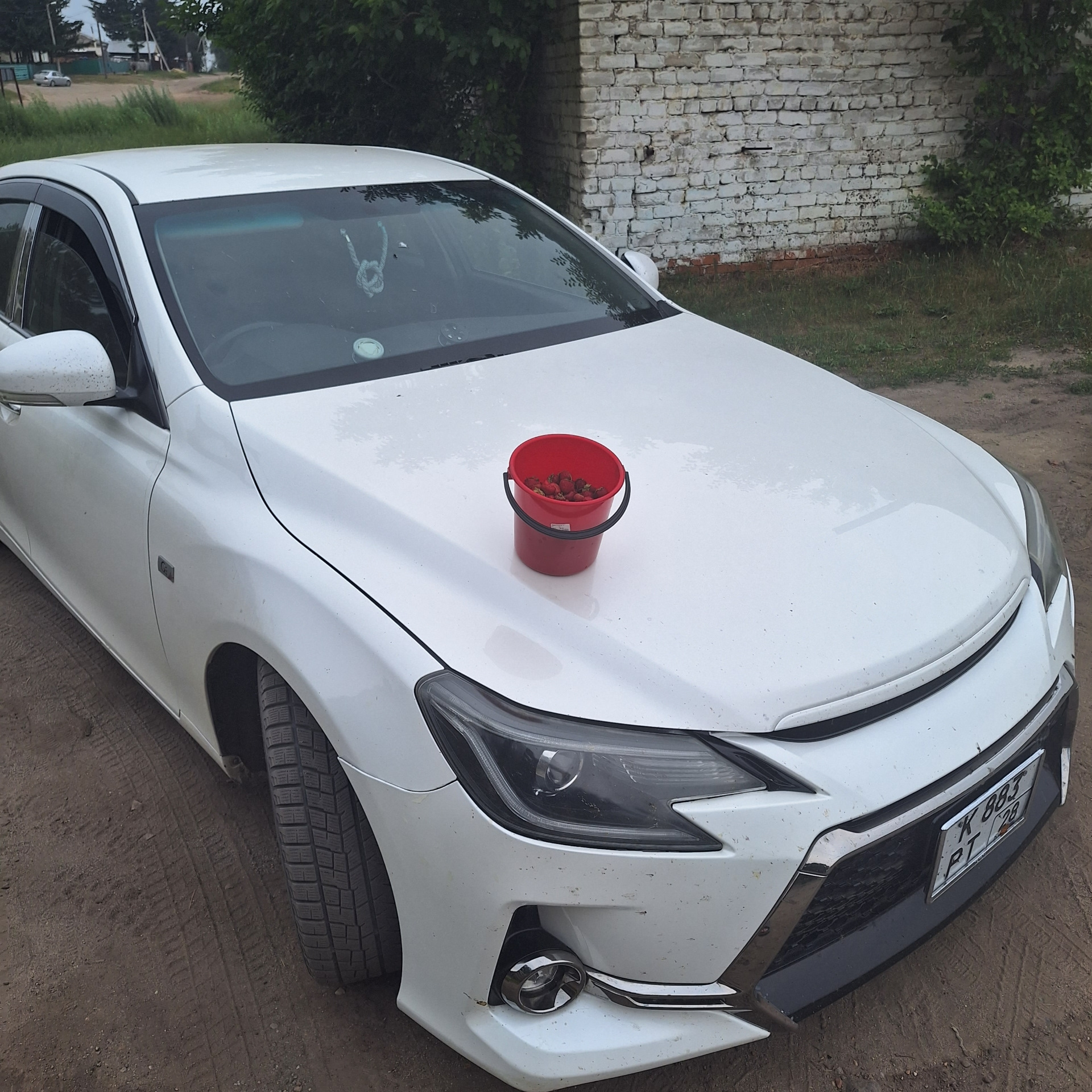 Toyota Mark X (GRX130), 2,5 л, 2010 года | путешествие | DRIVE2