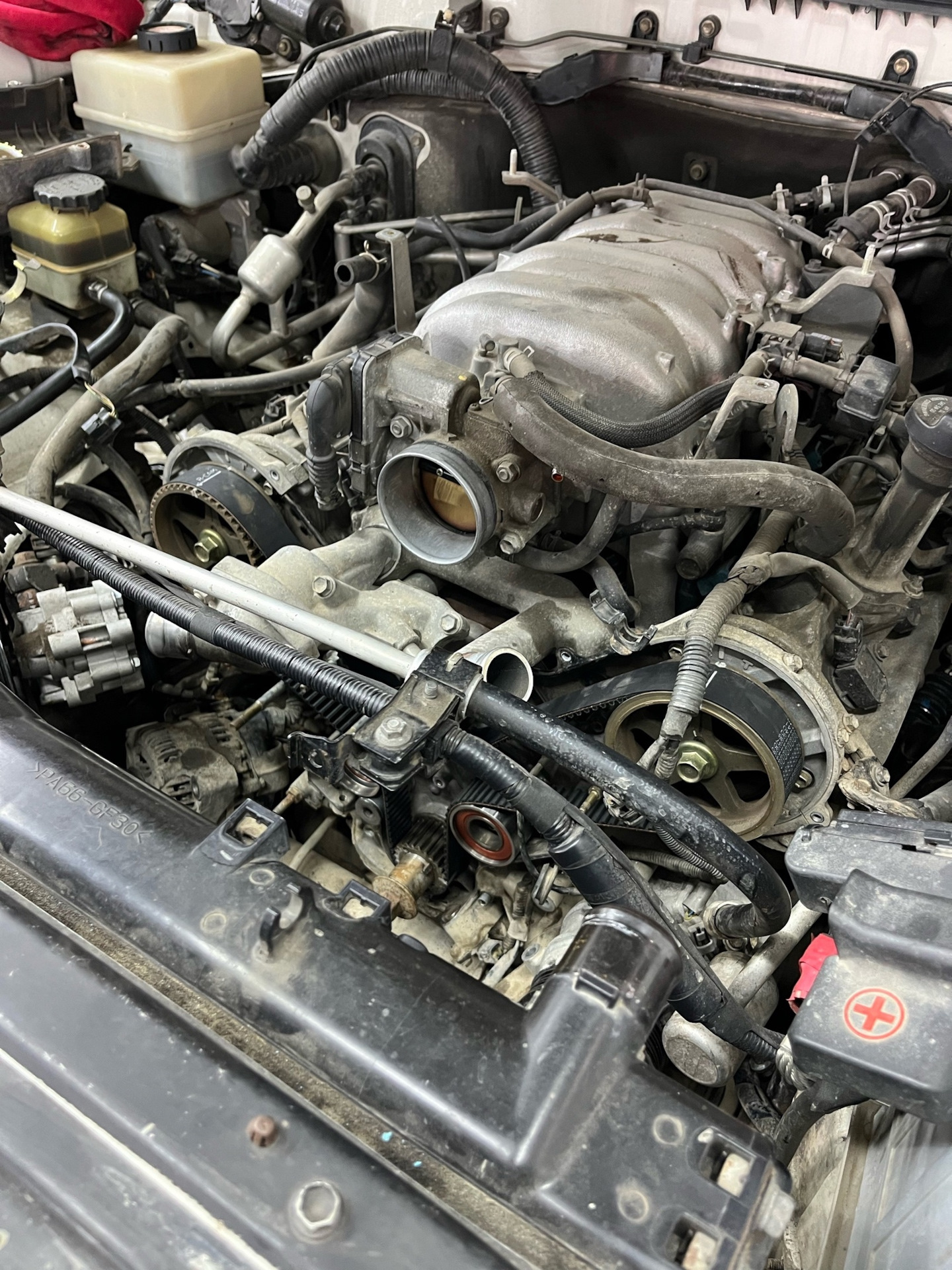 Заменил ГРМ и балалайку — Lexus LX (UZJ100), 4,7 л, 2005 года | тюнинг ...