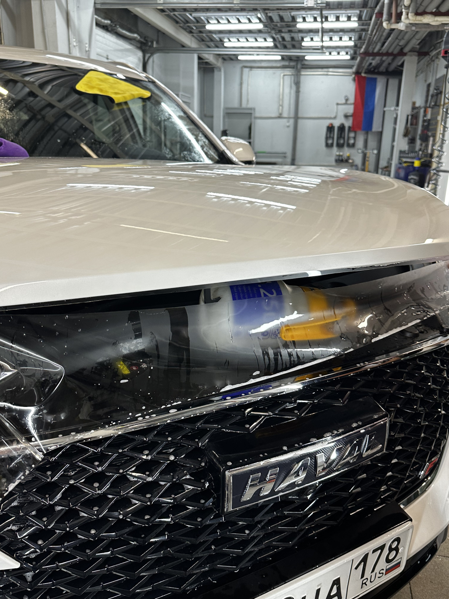 Броня (Фары, капот, птф) — Haval F7 (1G), 2 л, 2023 года | стайлинг ...