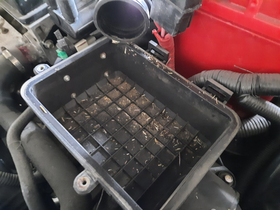 3. Плановое ТО по замене фильтров и моторного масла Lifan Breez 520 1.3 ...