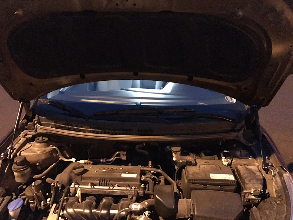 Газовые упоры капота — KIA Rio (3G), 1,6 л, 2016 года | аксессуары | DRIVE2
