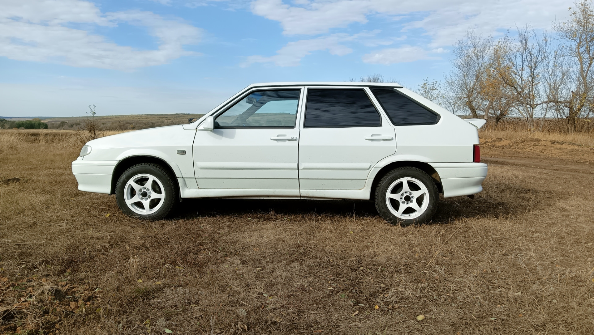 Задние пружины автостандарт -30 — Lada 2114, 1,6 л, 2011 года ...