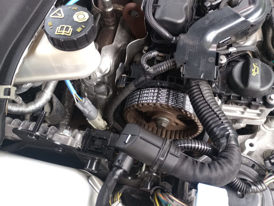 Замена ГРМ DW10F — Ford Mondeo V, 2 л, 2016 года | своими руками | DRIVE2