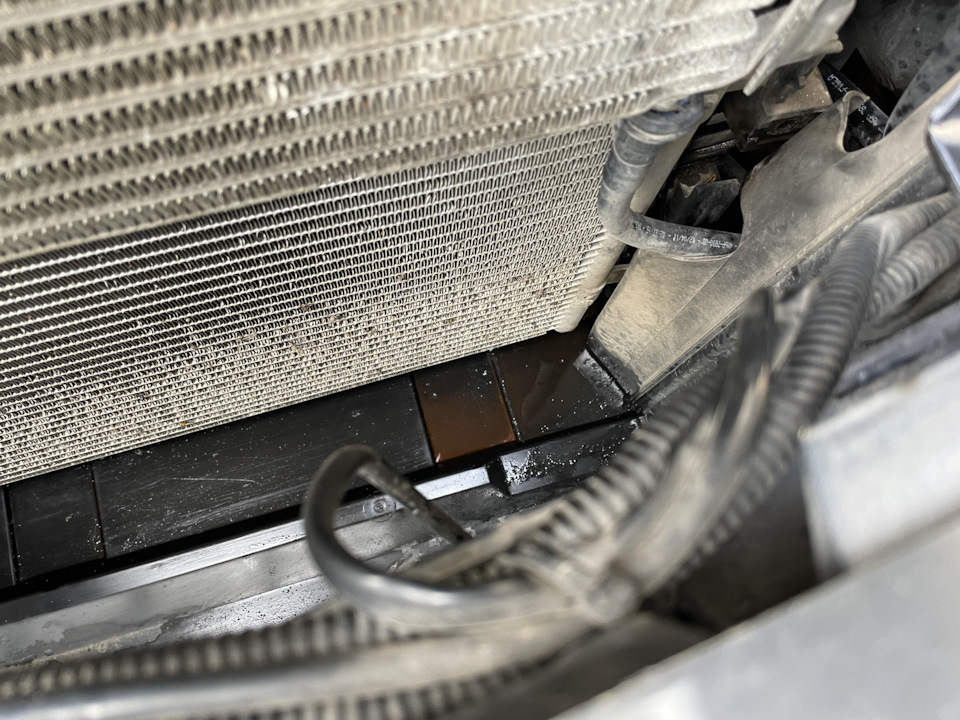 Замена радиатора охлаждения двигателя — Ford Focus Sedan II, 2 л, 2011 ...