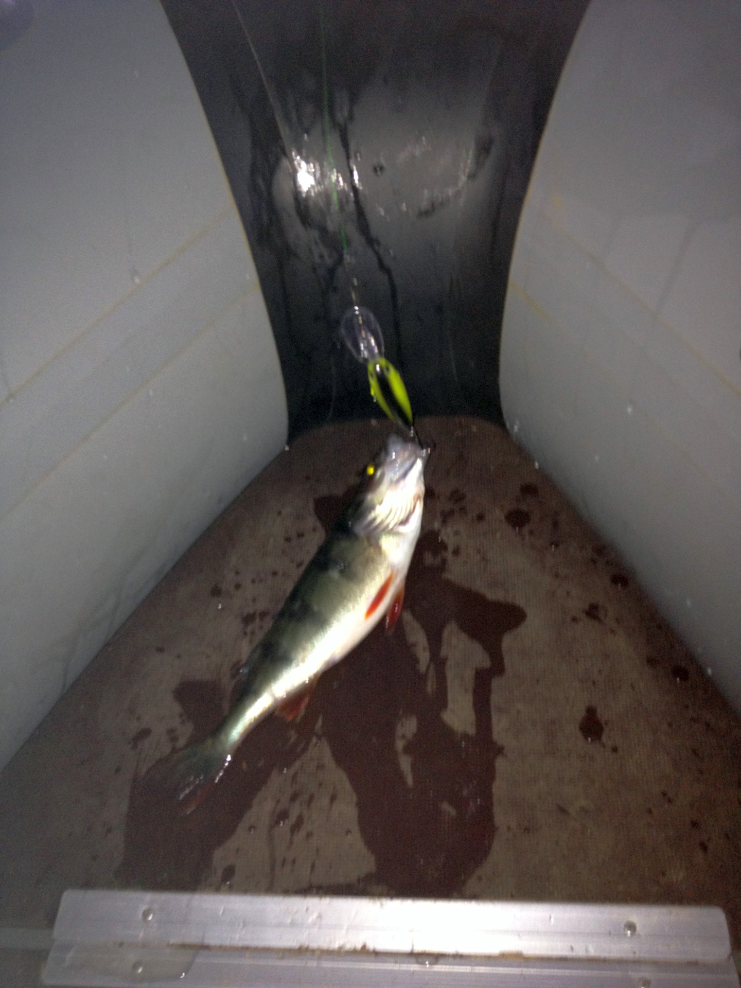 Осенний фотосет часть 1 — Subaru Impreza WRX (GD, GG), 2,5 л, 2006 года | фотография | DRIVE2